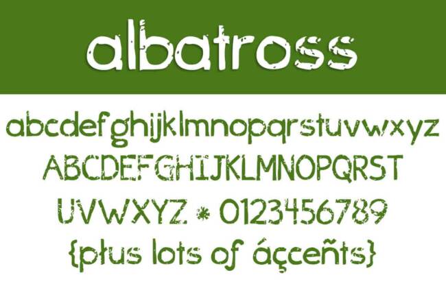 BMD Classic Bundle - Brittney Murphy Design