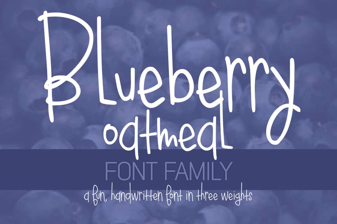 Blueberry Oatmeal Font Family - Brittney Murphy Design