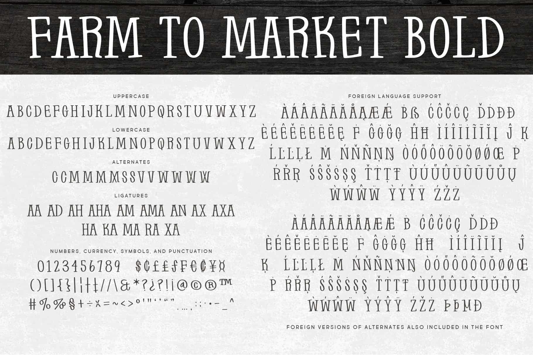 Farm to Market Bold Font - Brittney Murphy Design