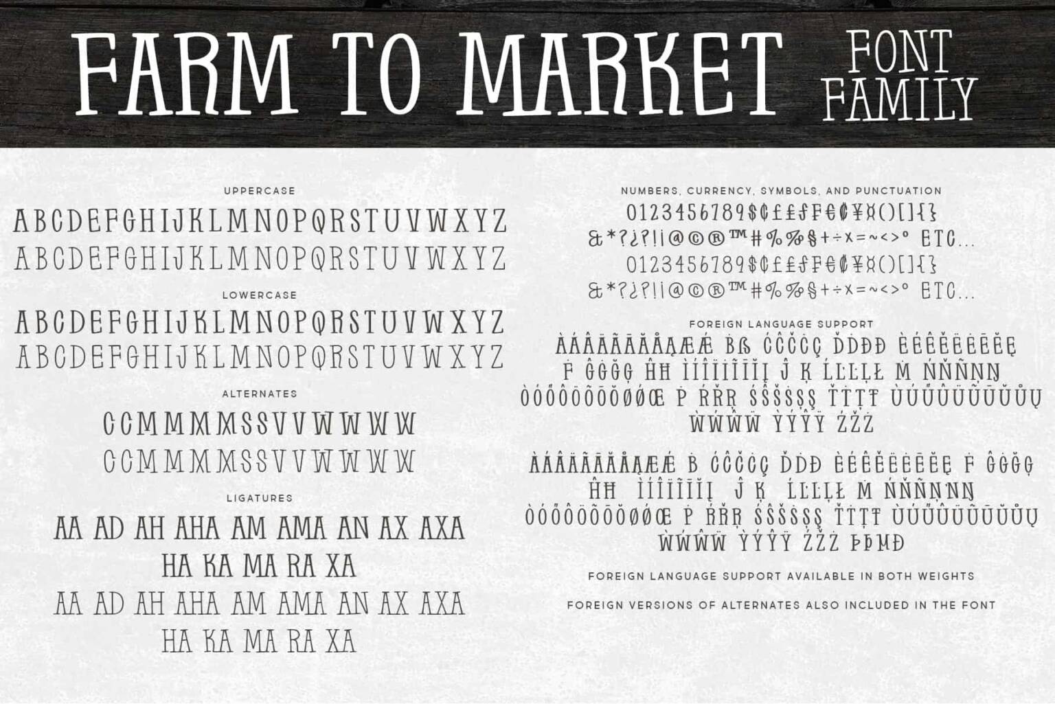 Farm to Market Font Family - Brittney Murphy Design