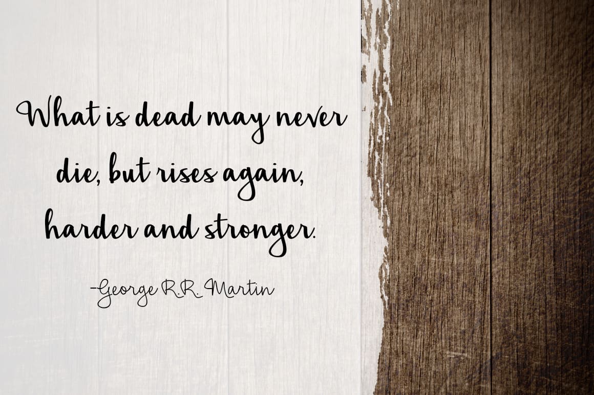 Hickory Jack Font Family - By Brittney Murphy Design