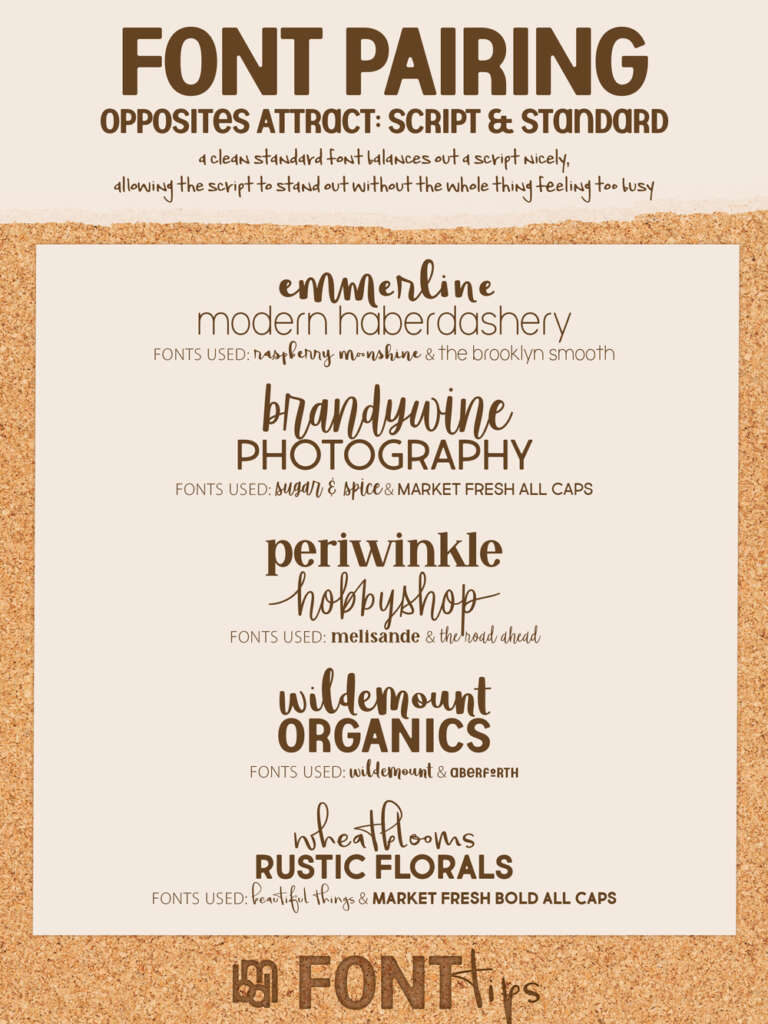 Font Pairing Guide 5 Quick Examples Of Pairing Script And Standard 